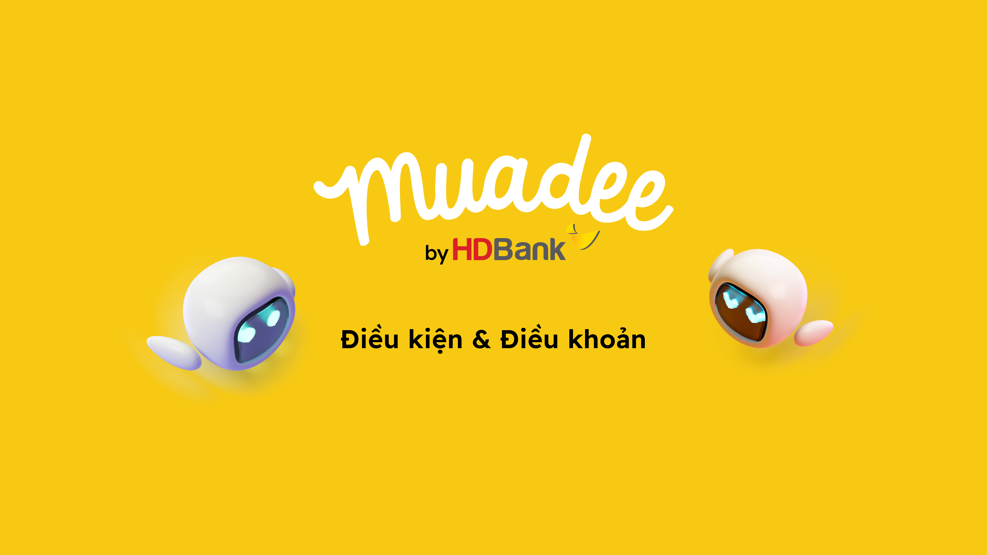 Điều kiện và Điều khoản